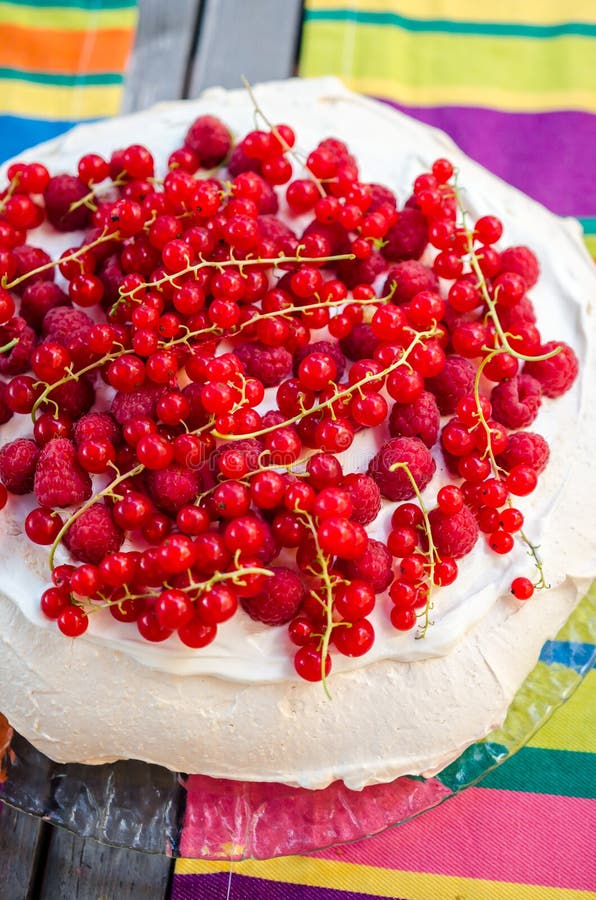 Red berries pavlova stock photo. Image of sweater, fruits - 43090504