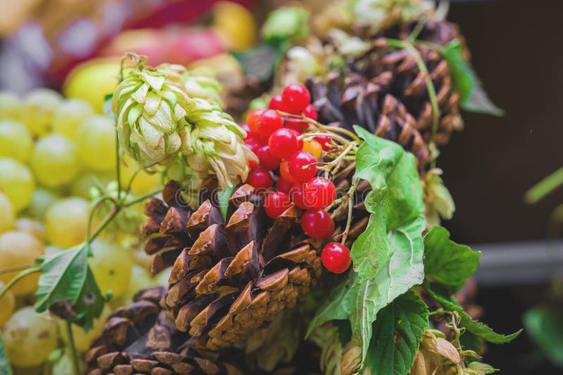 Red Berries and Pine Cone Background Stock Photo - Image of food, fresh ...