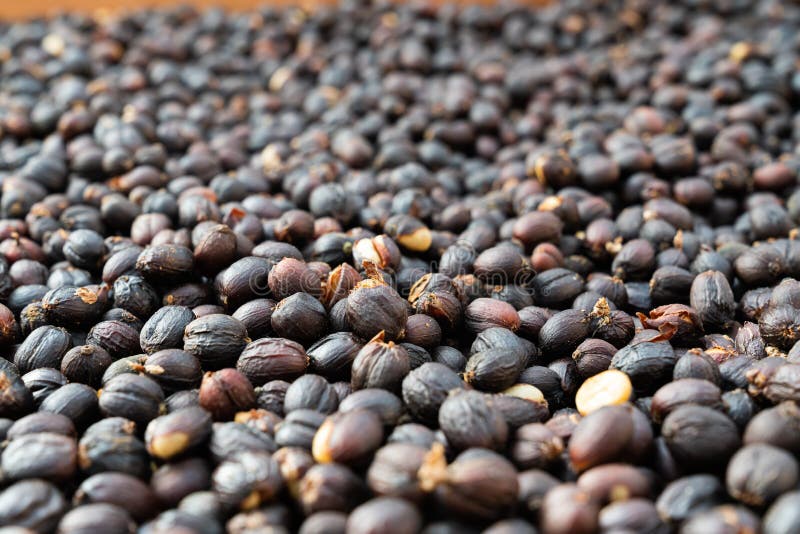 Coffee Bean Fruits Shell Texture Background Stock Photos - Free ...