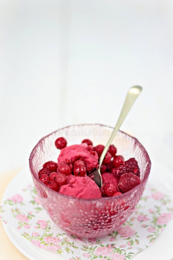 Red berries sorbet stock photo. Image of flower, bright - 29899110