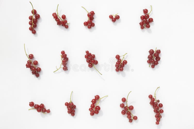 Exploding Raspberry Stock Photos - Free & Royalty-Free Stock Photos ...