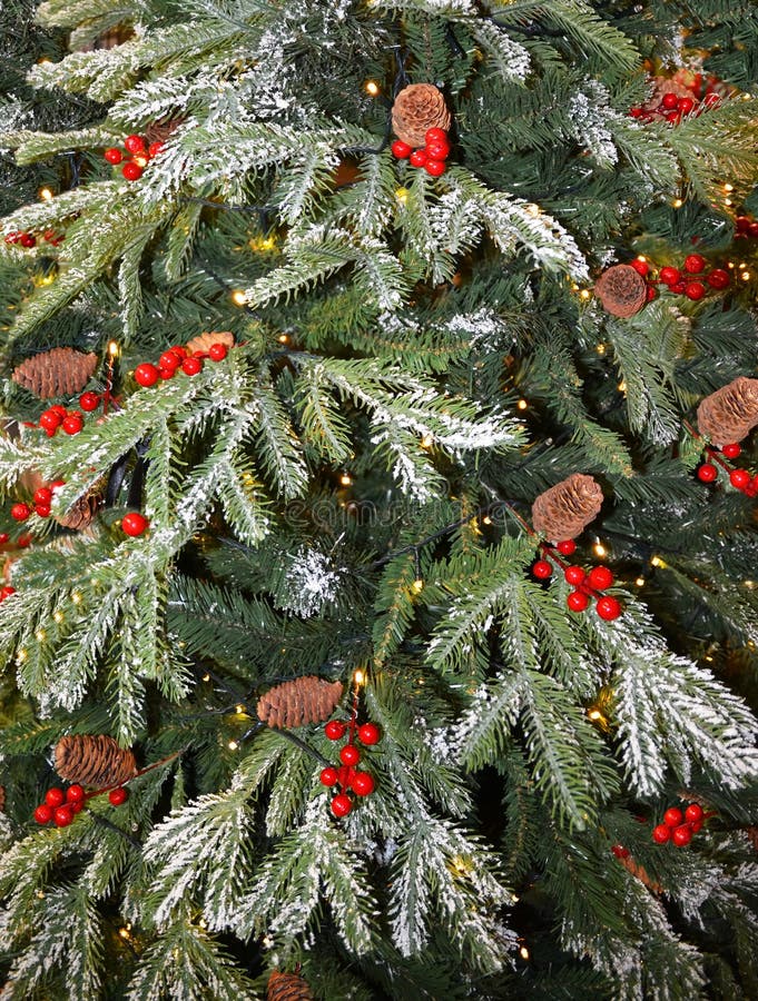 Red Berry & Pine Cone Christmas Card Background Stock Image - Image of ...