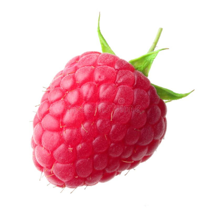 Raspberry stock image. Image of raspberries, fruity, diet - 2730749