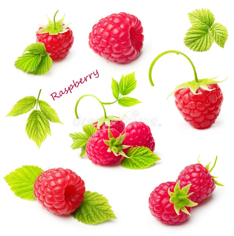 Red Berry Raspberry Isolated Stock Photo - Image of dieting, tasty ...