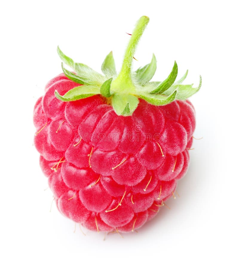 Red Berry Raspberry Isolated Stock Photo - Image of white, raspberry ...