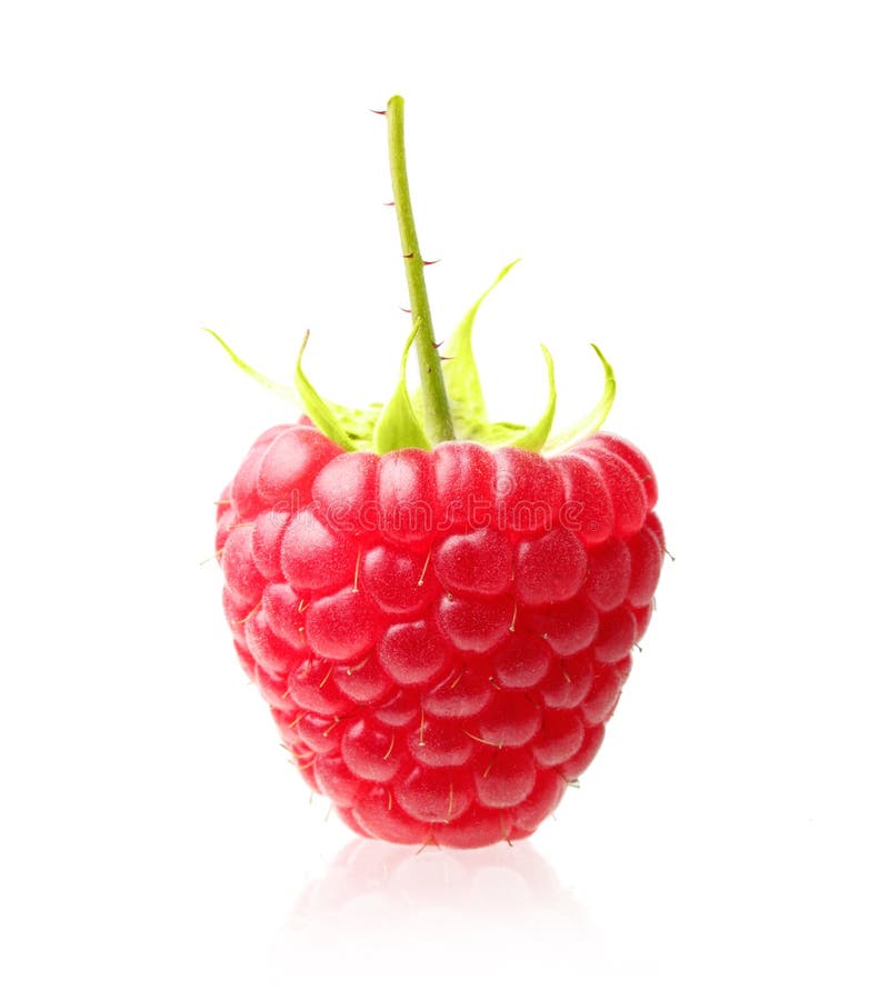 Raspberry stock photo. Image of healthy, eating, close - 6403034