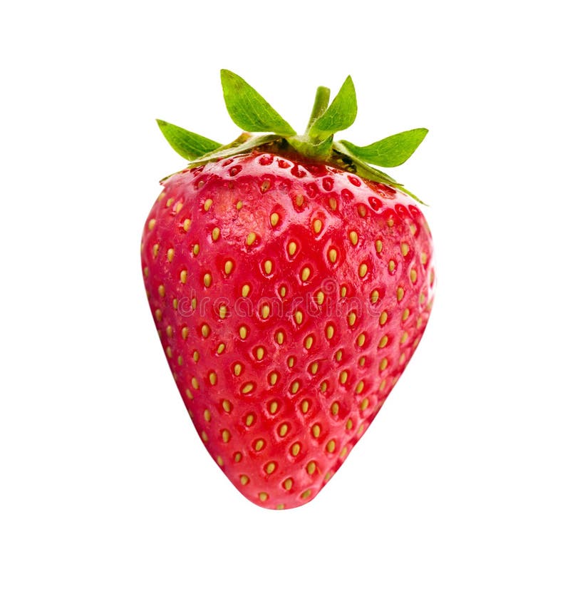 Red Berry Strawberry Isolated on White Stock Photo - Image of health ...
