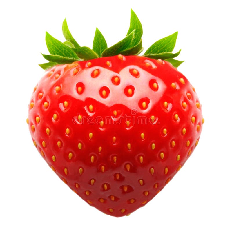 Red berry strawberry stock photo. Image of perfect, diet - 55474820