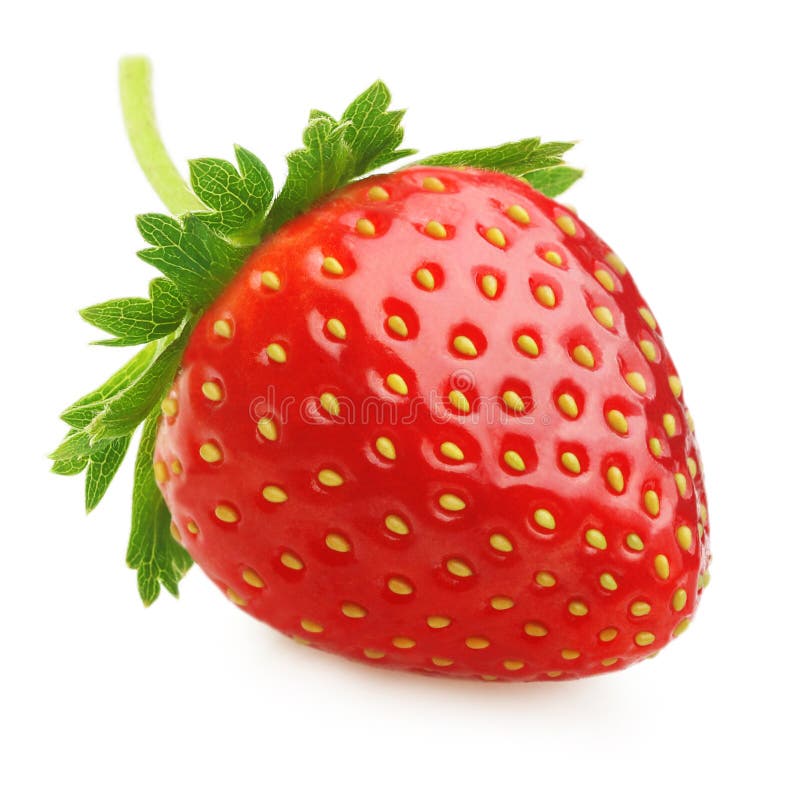Red berry strawberry stock image. Image of tasty, berry - 74848281