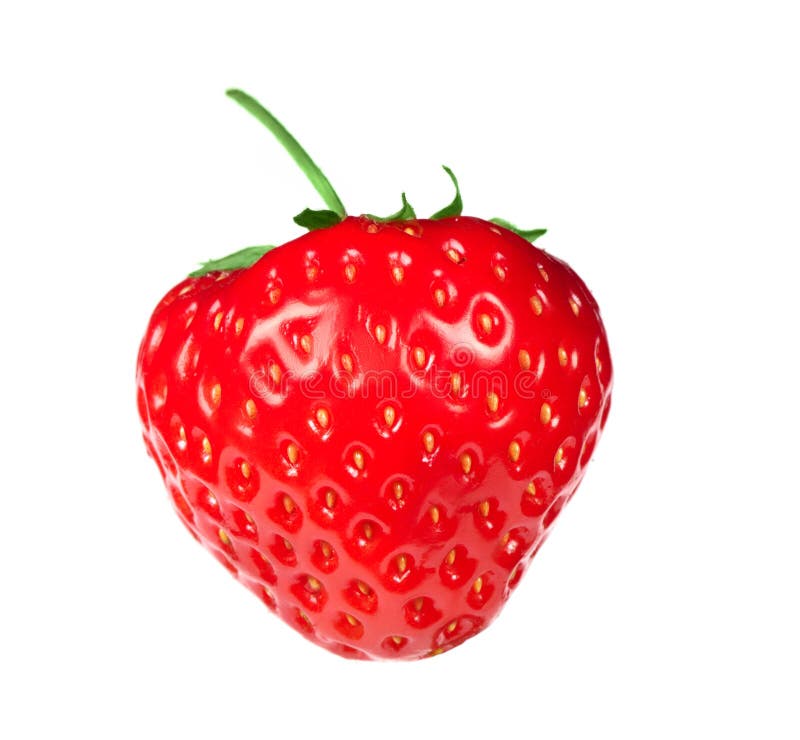Red Berry Strawberry Isolated Stock Photo - Image of delicious, organic ...