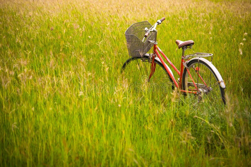 A red bicycle stock image. Image of icon, extreme, lifestyle - 57948837