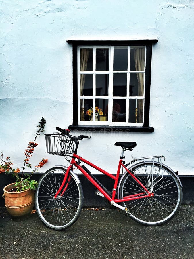 Bicycle Under a Flamboyant Tree in Courtyard of a School Stock Photo ...