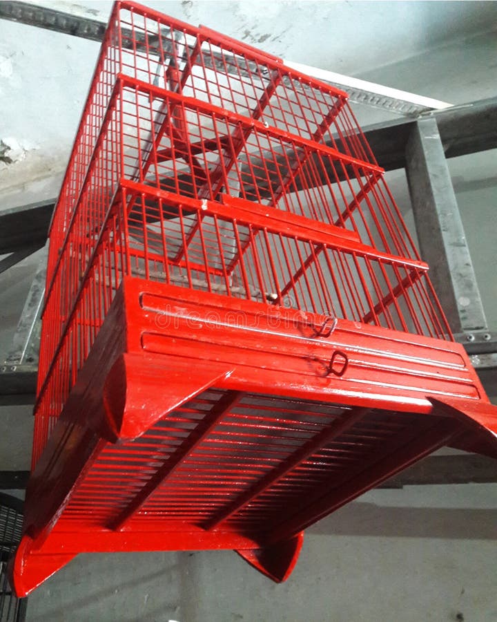 Red Bird Cage Seen from Below Stock Image - Image of empty, bird: 227741767