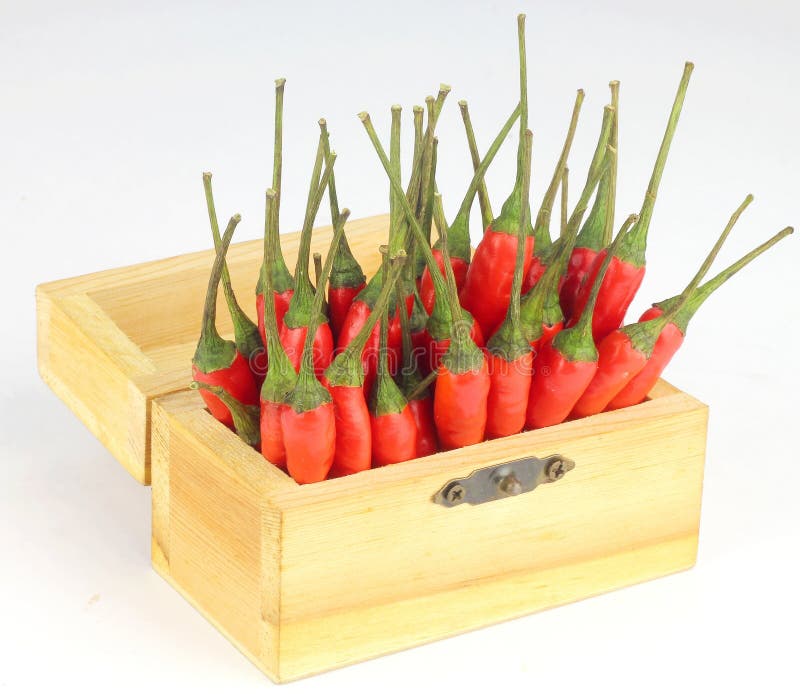 Red Bird Chilli in a Wood Box Stock Photo - Image of tasty, heat: 37700144