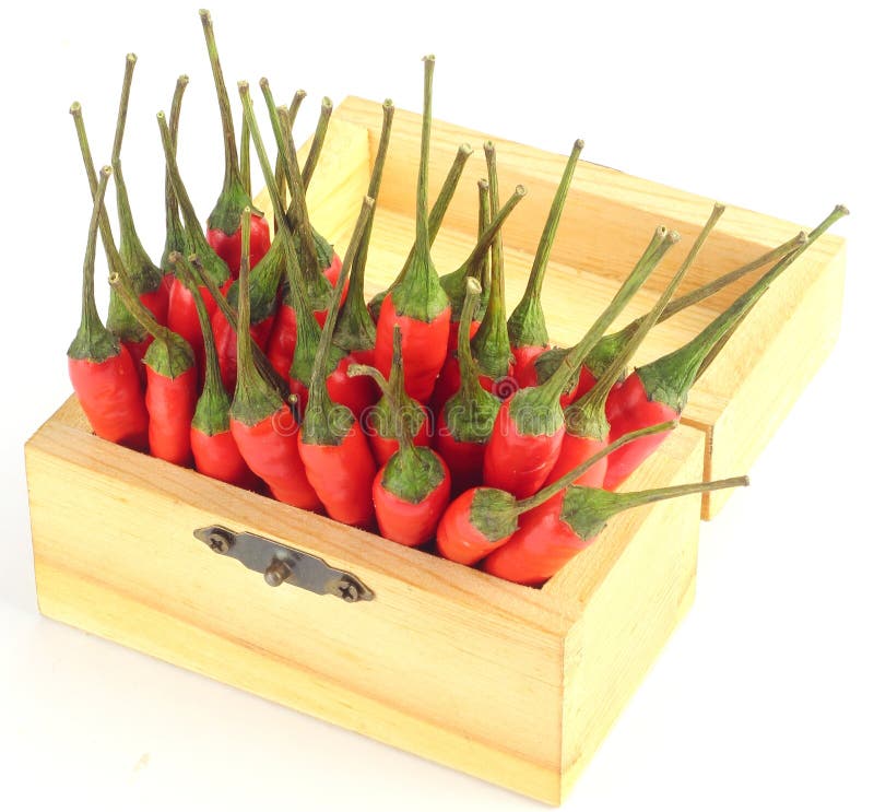Red Bird Chilli in a Wood Box Stock Image - Image of color, traditional ...