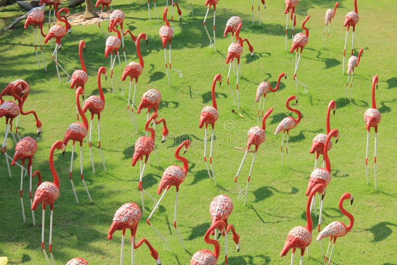 RED Birds with Their Shadows (egret) Stock Image - Image of bright ...