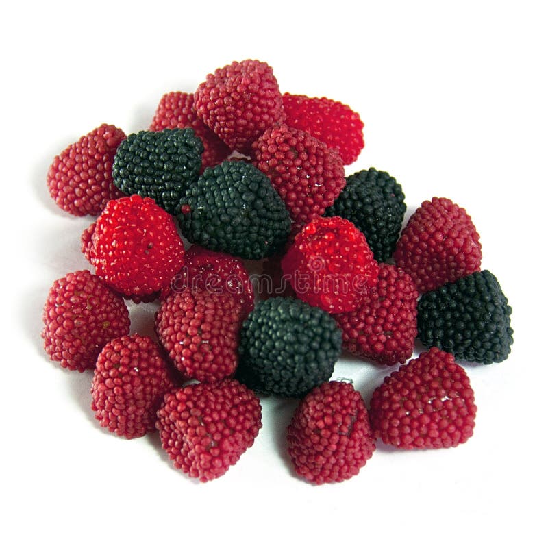 Red and black berry candy stock photo. Image of ripened - 22532358