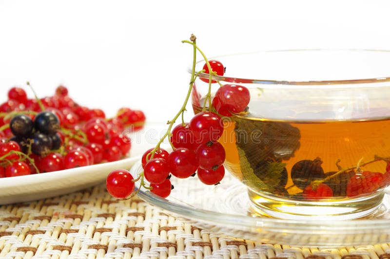 Red and black currant stock image. Image of close, branch - 5644817