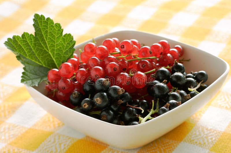 Red and black currants stock photo. Image of black, vitamins - 10138470