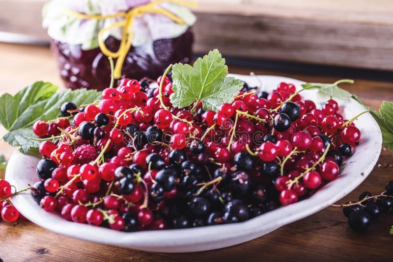 Red and Black Currants. Red Currant Jam with Fresh Berry Stock Photo ...