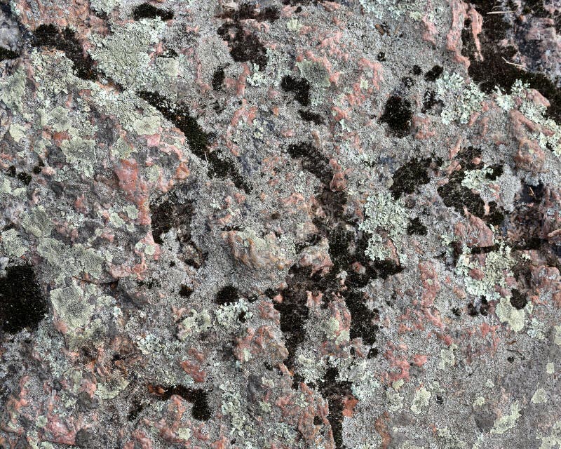Red and Black Granite with Moss and Lichen Stock Image - Image of ...