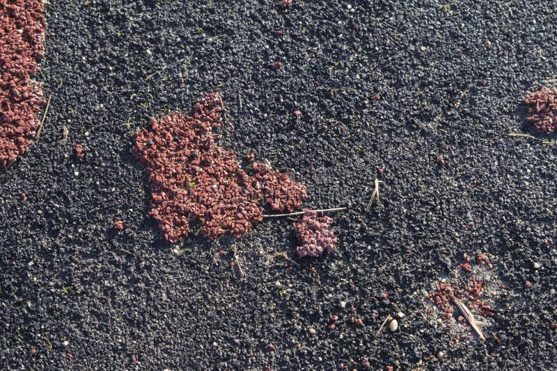 Red and Black Ground Texture Stock Image - Image of effect, detail ...