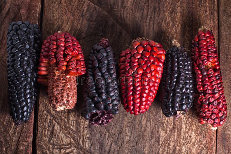 Red and Black Heirloom Corn Cobs Stock Image - Image of vegetarian ...