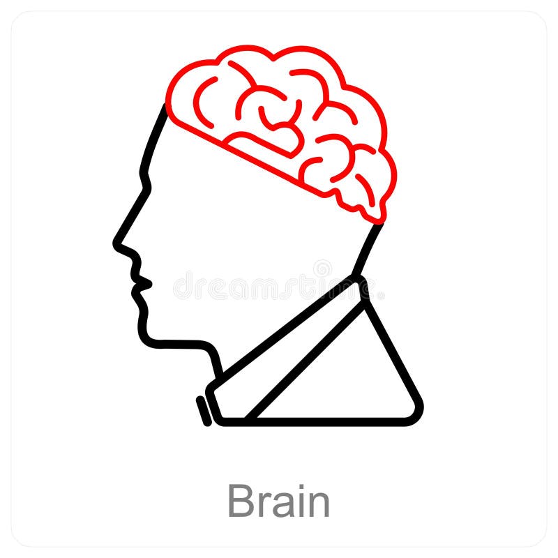 Brain stock vector. Illustration of icons, brain, user - 339061239