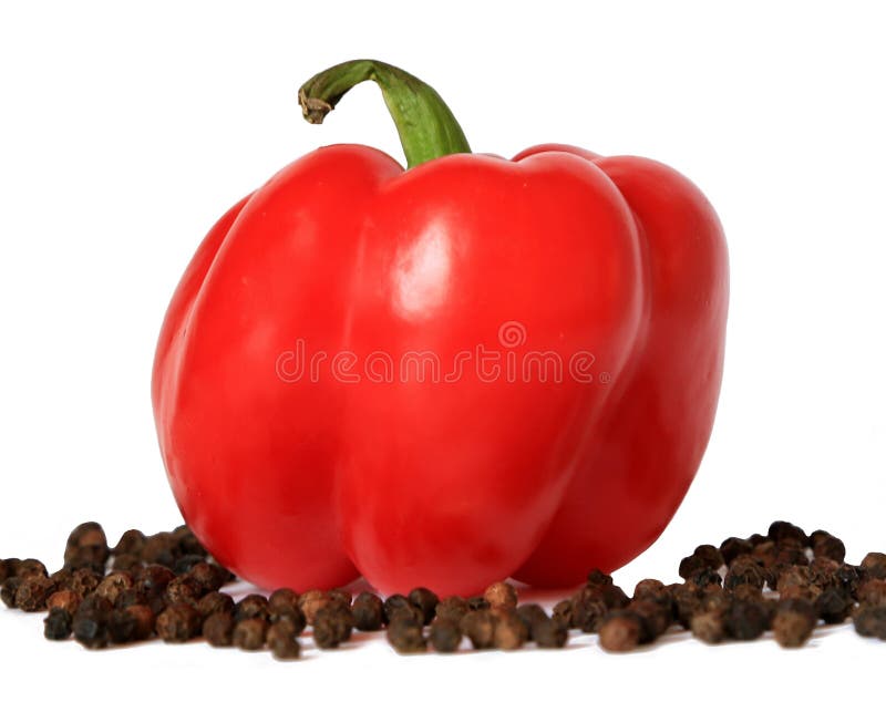 Red and black peppers stock image. Image of isolated - 54805469