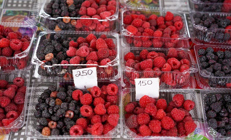 Red and Black Raspberries in Plastic Containers Stock Image - Image of ...