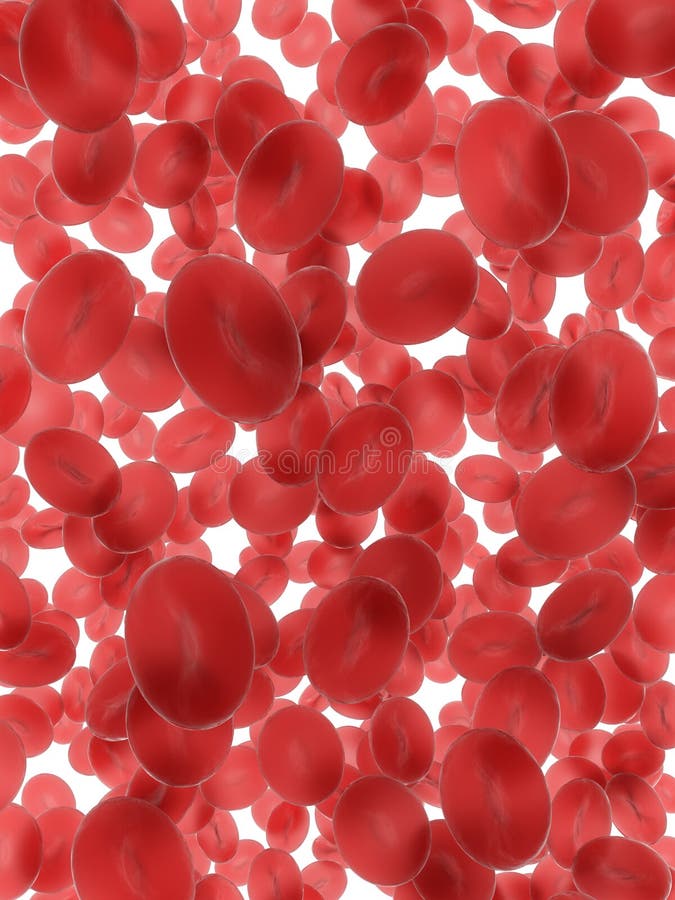 RBCs and Transverse Section of Red Blood Cell Stock Illustration ...