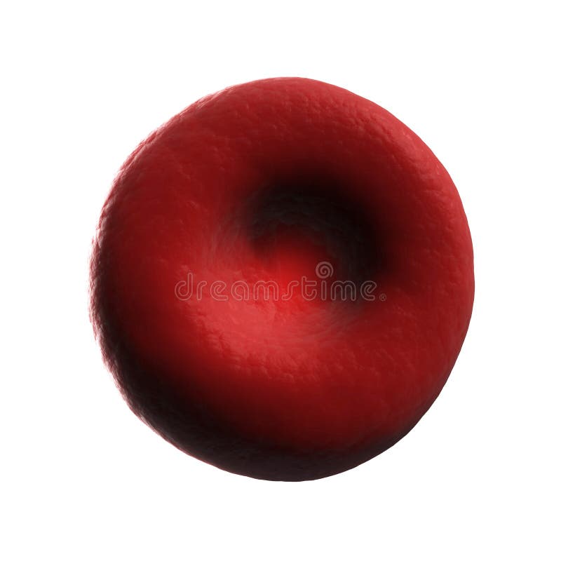 Red blood cell - close up stock illustration. Illustration of ...
