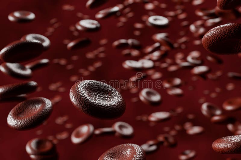 Red Blood Cell Inside Body, 3D Render Stock Illustration - Illustration ...