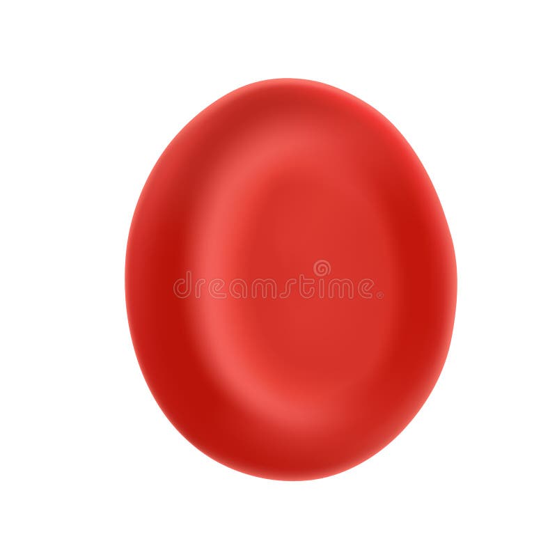 Red Blood Cell Isolated on White Background, Erythrocyte Model, 3D ...