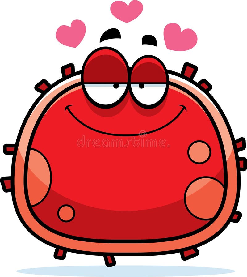 Red Blood Cell Love stock vector. Illustration of love - 47777190