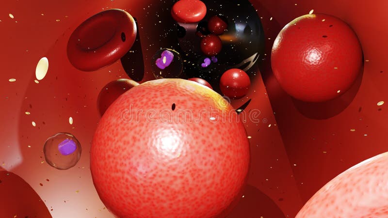 A Red Blood Cell (RBC) that is Spherical in Shape or Spherocyte Stock ...