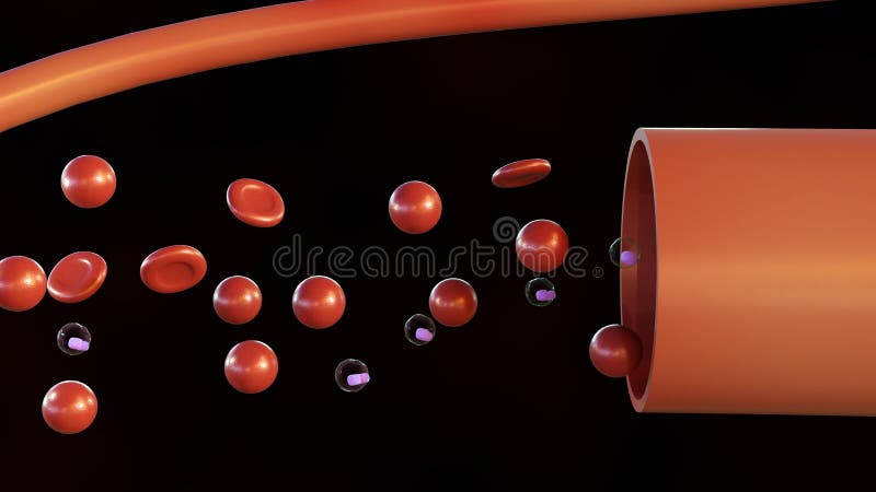 A Red Blood Cell (RBC) that is Spherical in Shape or Spherocyte Stock ...