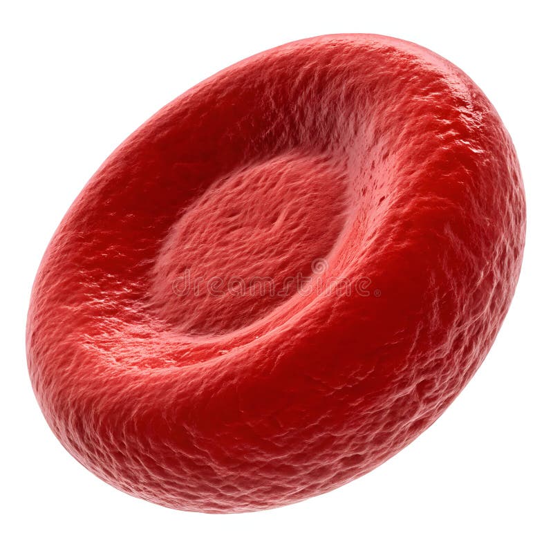 Single Red Blood Cell Under Microscope 5,000+ Red Blood Cell Under