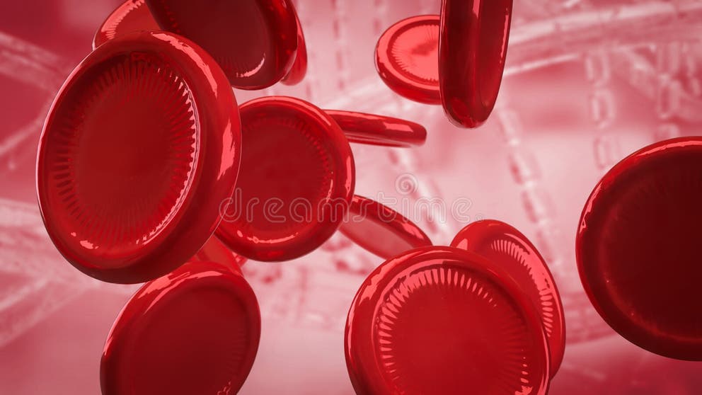The Red Blood Cell for Sci or Medical Concept 3d Rendering Stock ...