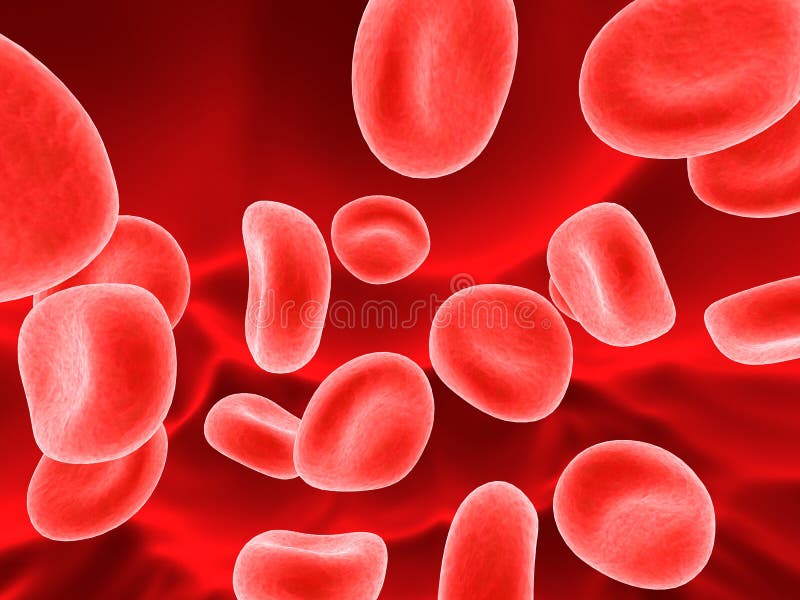 Red blood cells stock illustration. Illustration of macro - 1760432
