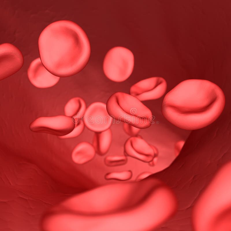 Red Blood cells stock image. Image of macro, scientific - 21791147