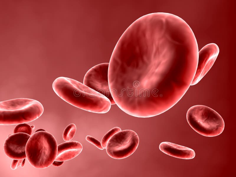 Heart Shaped Blood Cells stock illustration. Illustration of blood ...