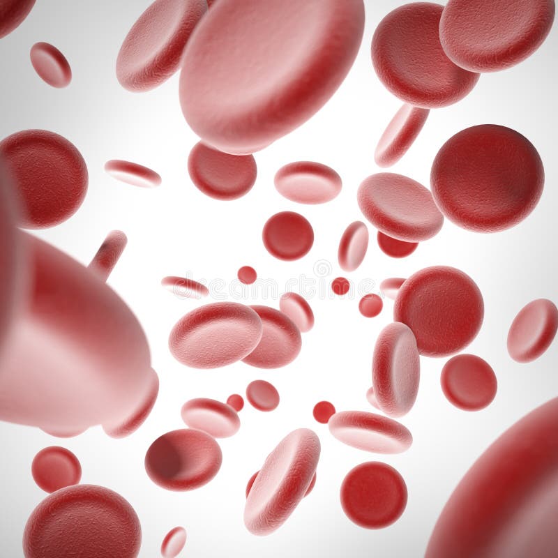 Human Blood Cells stock image. Image of circulation, blood - 14979271