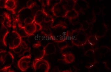 Blood Particles Stock Illustrations – 1,455 Blood Particles Stock ...
