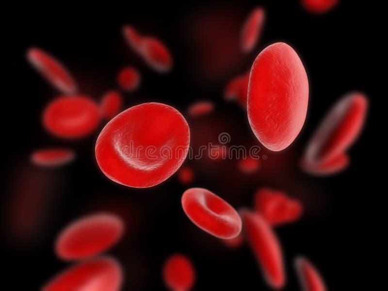 Red Blood Cells stock illustration. Illustration of blood - 7879185