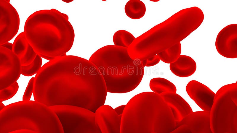 Red Blood Cells Isolated on White Background. Stock Illustration ...