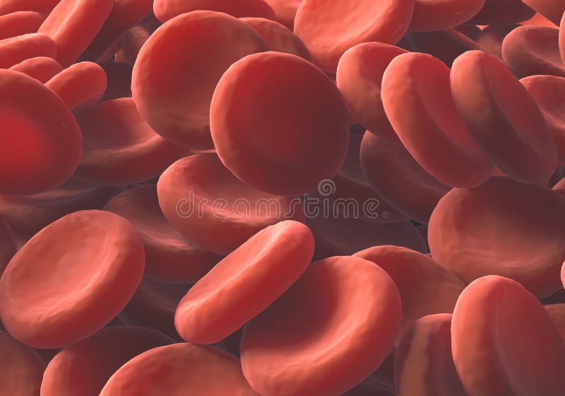 Red Blood Cells stock image. Image of scientific, clot - 49606875