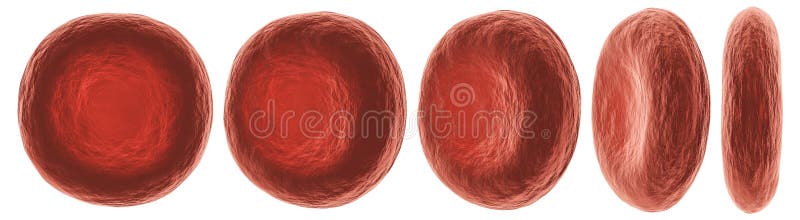 Red Blood Cells with Different View . High Detailed Surface Texture ...