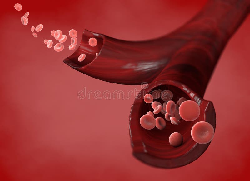 Red Blood Cells, Erythrocyte Cell, Flow of Red Blood Cells Inside a ...