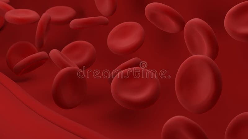 Red Blood Cells. Erythrocytes Stock Illustration - Illustration of ...